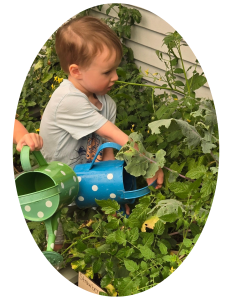 BC Early Learning Framework - Raising Stars Preschool